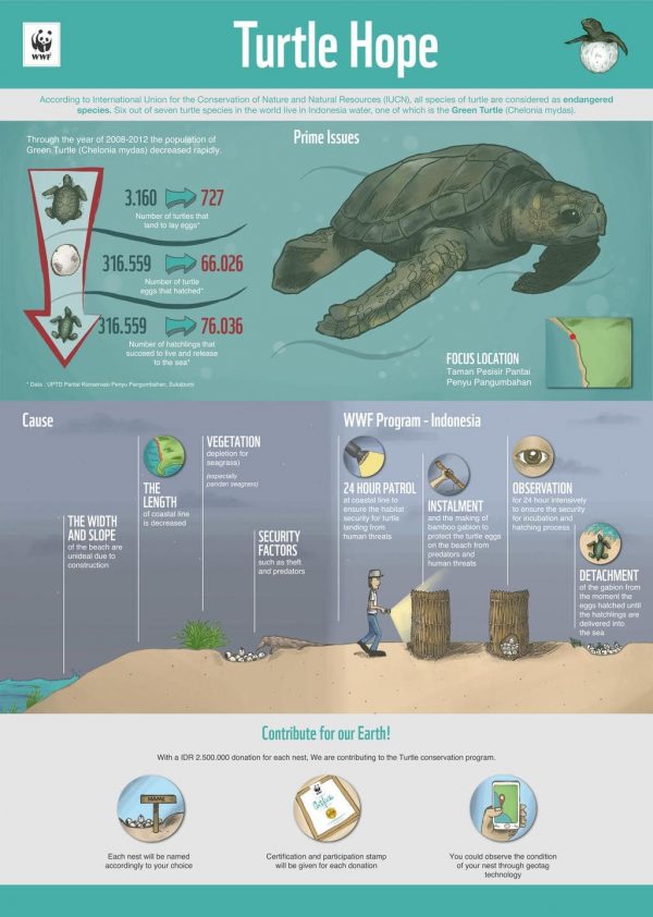 Help Turtle Hope WWF Project - Why We Need to Save Sea Turtles?