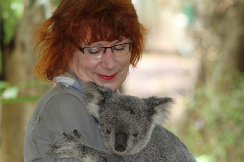 koala hugging - Earth Buddies