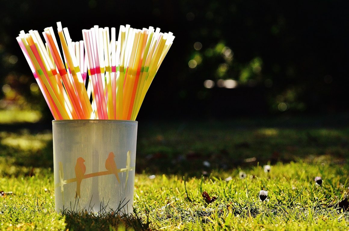 No More Straw Waste with Edible Straw (You can also Make One!)