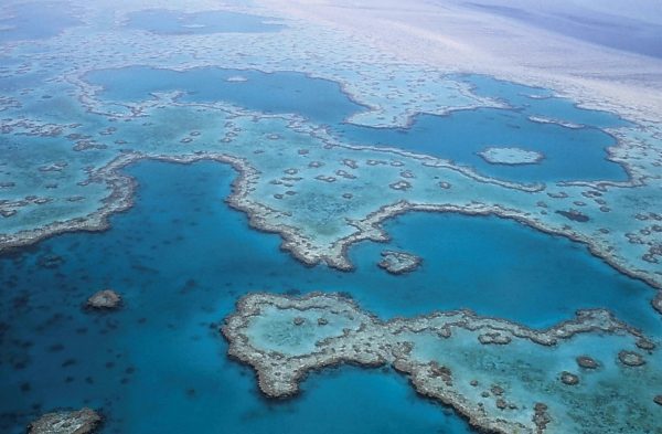 The Great Barrier Reef Versus The Threats From Global Warming