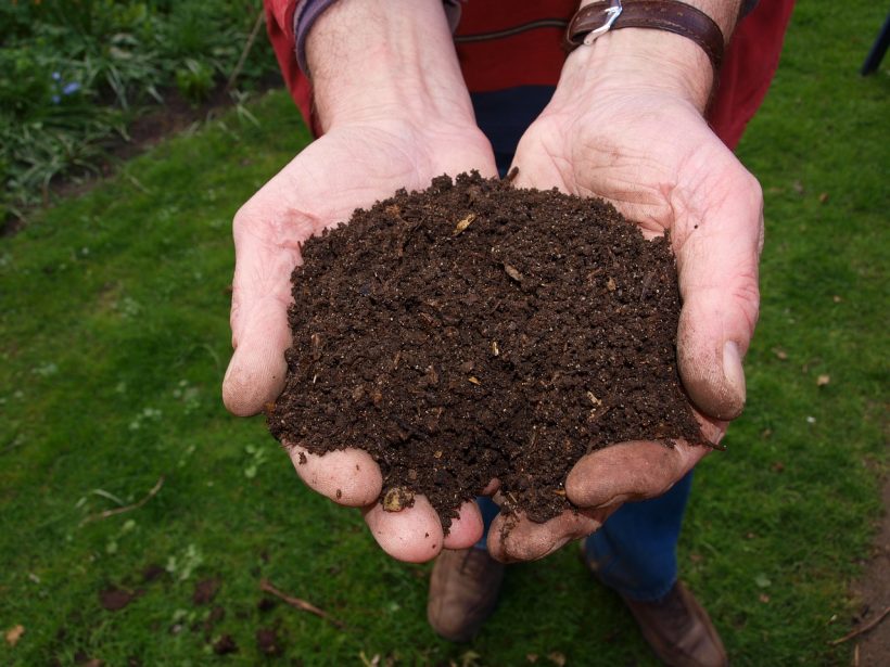 Composting at Home: A Step-by-Step Guide