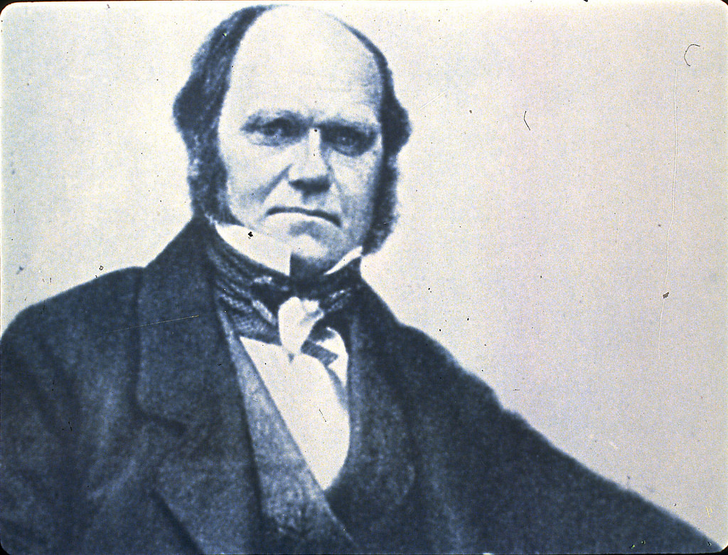 charles darwin by shehal - Earth Buddies