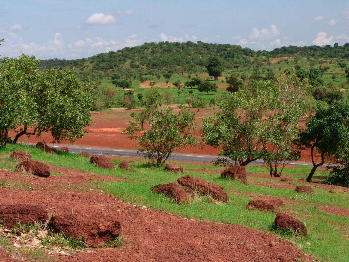 Africa Is Battling Desertification With Great Green Wall Of Sahara Desert
