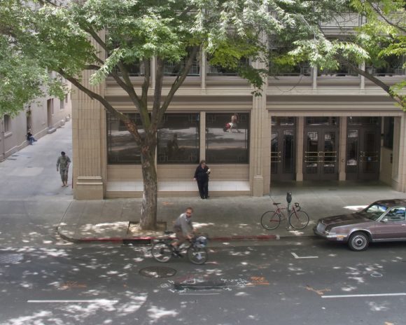 What Kind Of Trees To Plant Near / In The Sidewalk?
