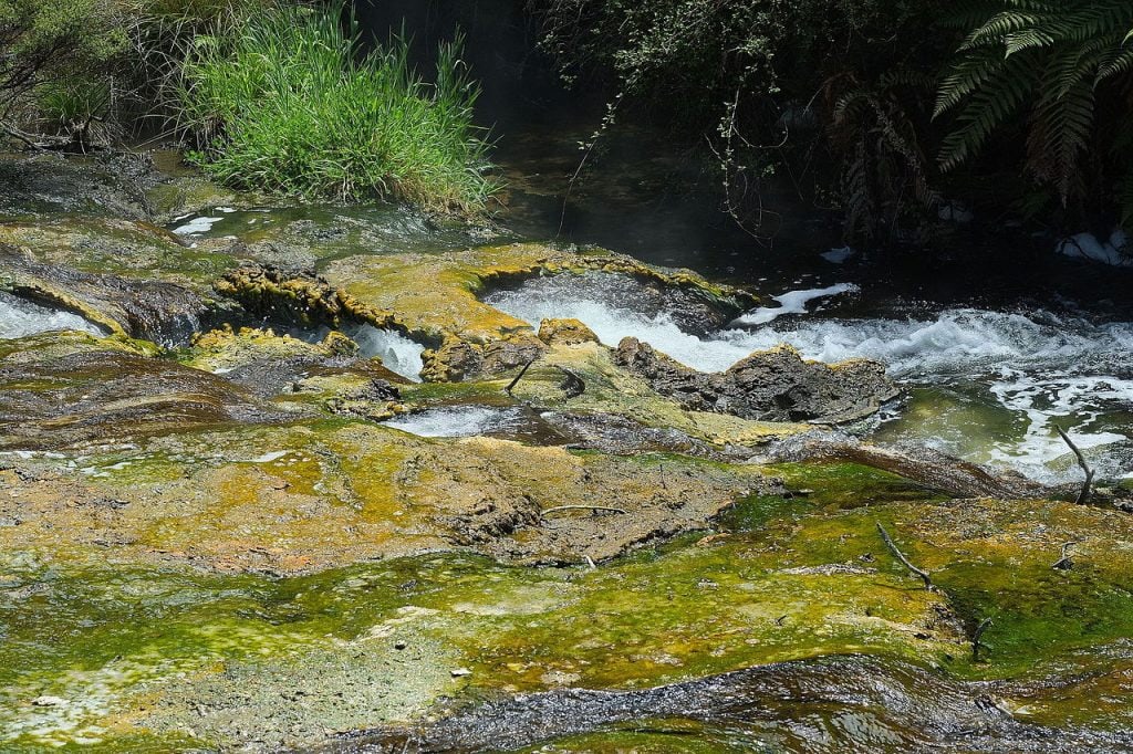 Hippo Poop May Sound Gross, But Kenya’s Mara River Needs It