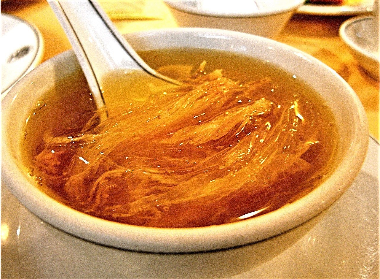 Shark Fin Soup (Wikimedia Commons) - Earth Buddies