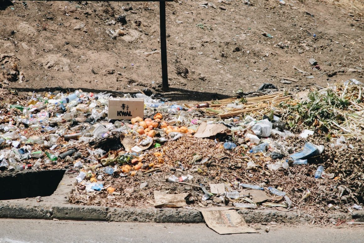 plastic waste on land - Earth Buddies