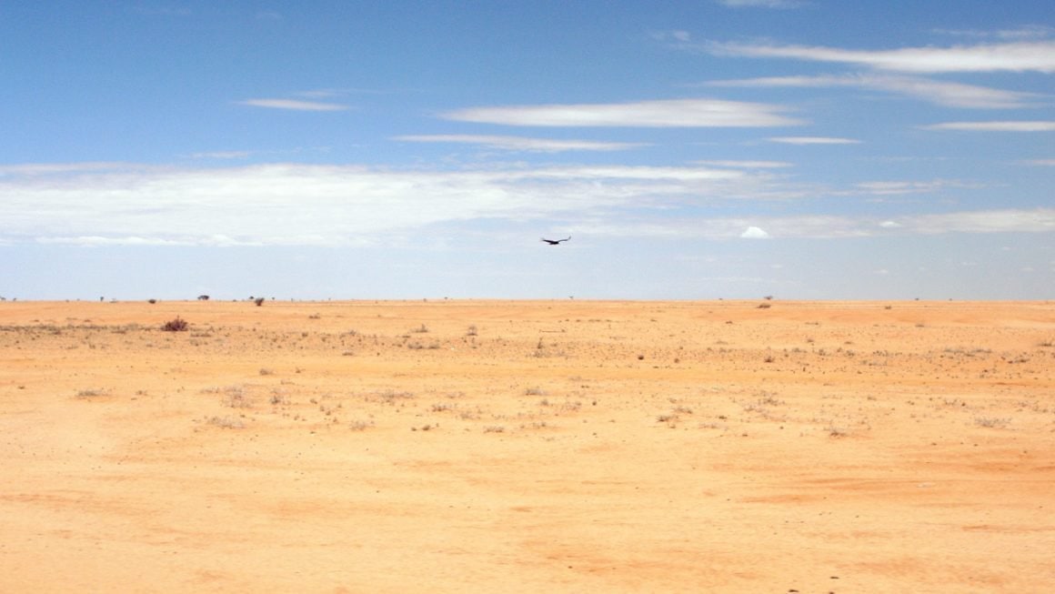 Four Different Types Of Deserts You Might Not Know