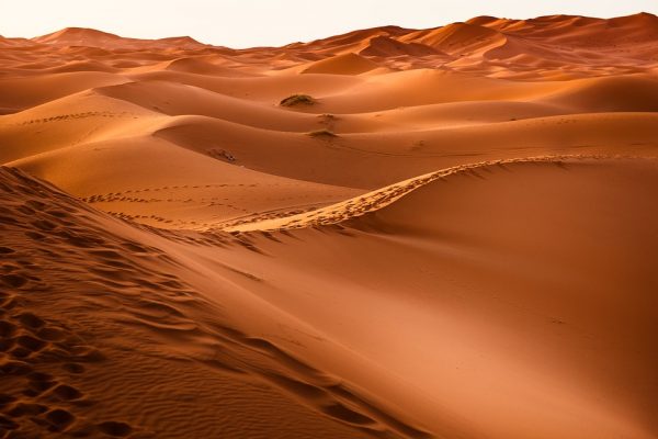 Four Different Types Of Deserts You Might Not Know