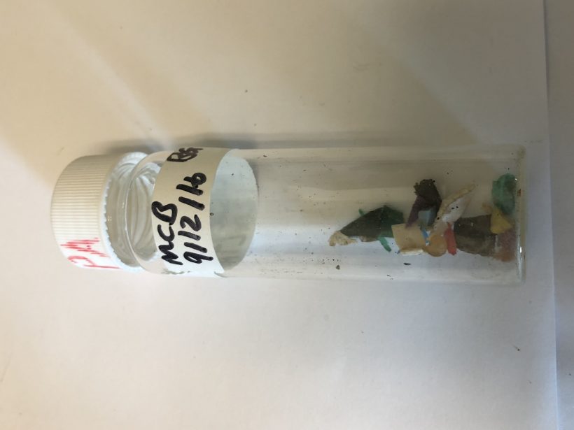 Microplastic Is Finally Found In Placentas Of Unborn Baby!