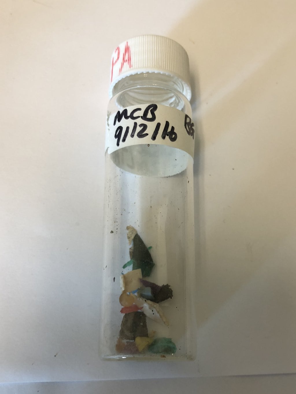 Microplastic_sample - Earth Buddies