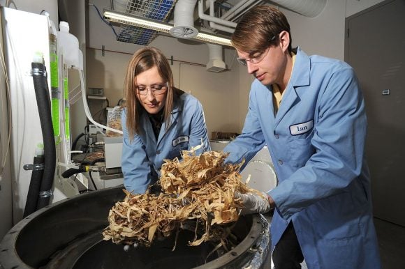 Biomass is a Good Fuel Alternative, But It Also Gives Valuable Benefits ...