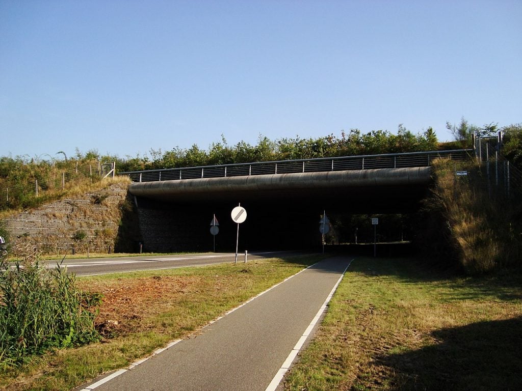 Wildlife crossing in Hilversum, the Netherlands. photo by Globe-trotter ...