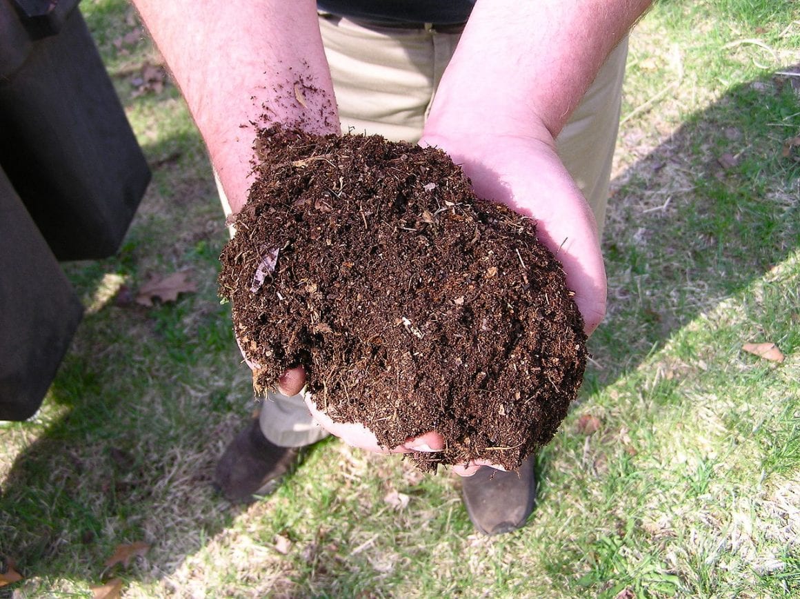 If You Want it, You can Now Turn Your Deceased Bodies into Compost