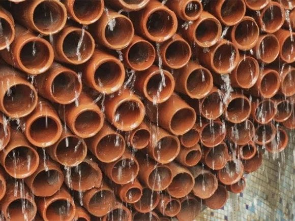 Earthbuddies - Animal, Earth & Green Living News, ECO Store