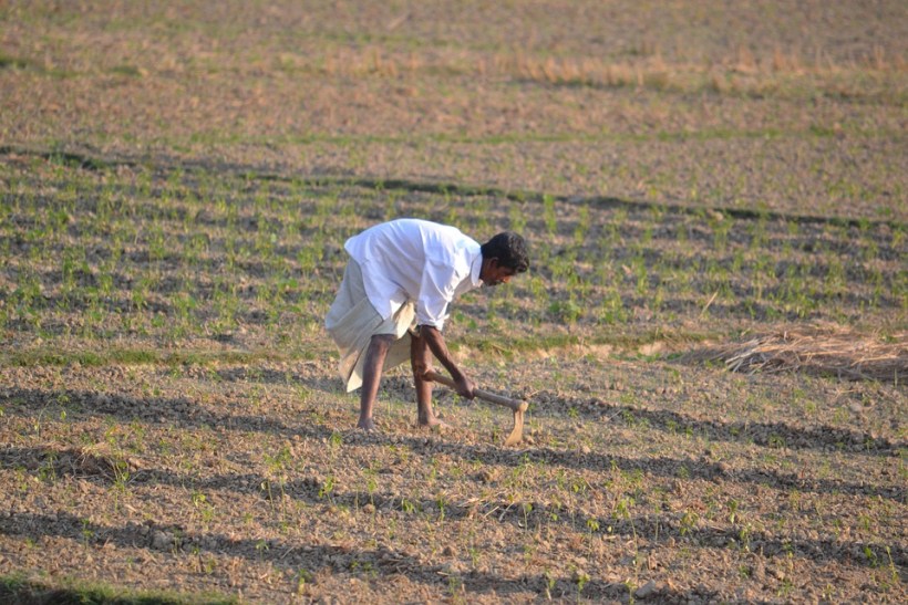See How Bangladesh Farmer Save Their Farmlands from Flood