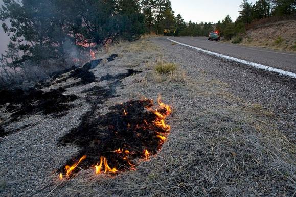 small fire (WIkimedia Commons) - Earth Buddies