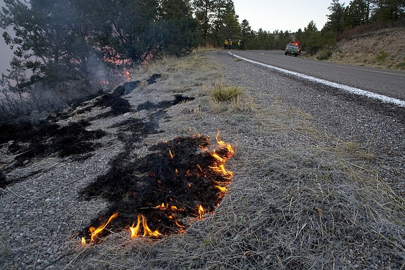 small fire (WIkimedia Commons) - Earth Buddies