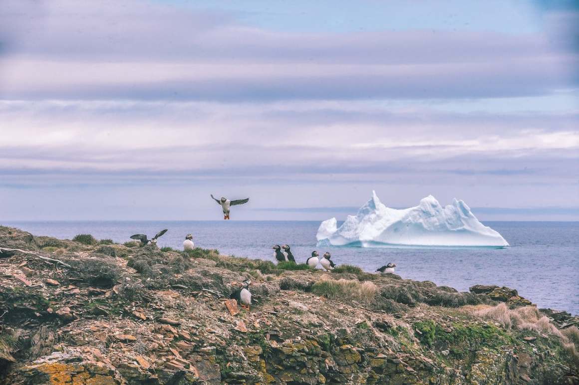 It's Travelling Time: See the World's 10 Wondrous Natural Phenomena