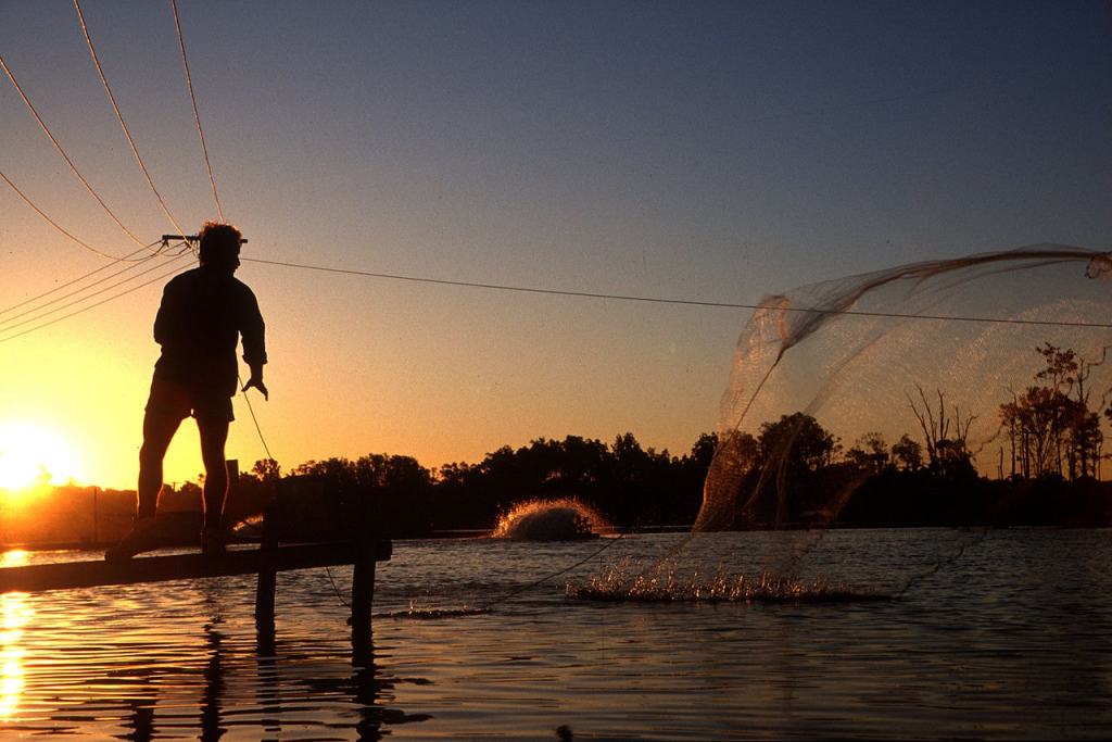 Aquaculture pawn ponds in Queensland, Australia. Photo by CSIRO ...