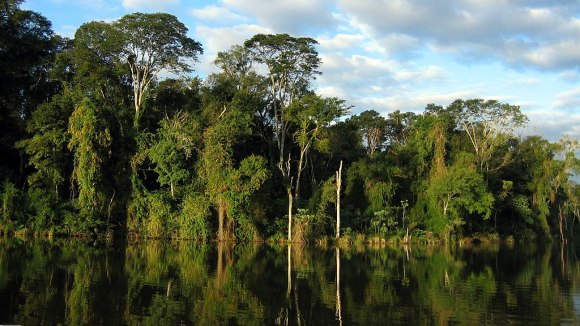 Indigenous People are Vital for Forest Conservation and Healthy Ecosystem