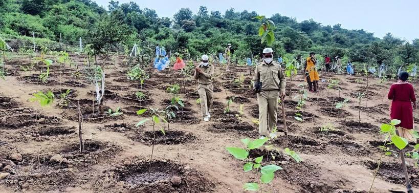 Study Says Deforestation Leads to Less Rain in Tropical Rainforests
