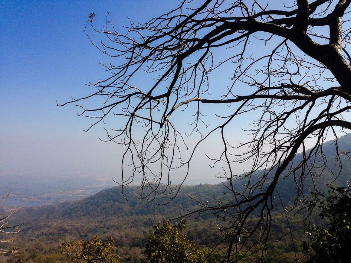 Protected forests near Mt Abu. Photo by Asdelhi95 Wikimedia Commons ...