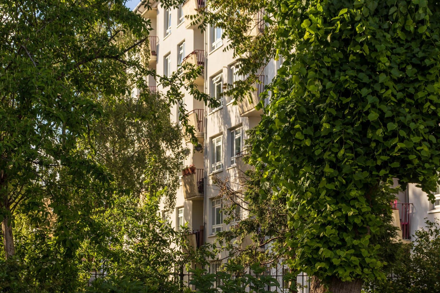 hotter climate makes trees produce more pollution (2) - Earth Buddies