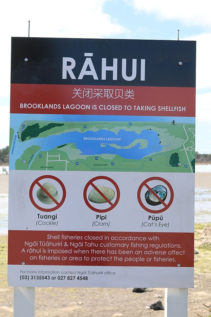 Rahui implemented in Brooklands Lagoon. Photo by Wildman Wikimedia ...