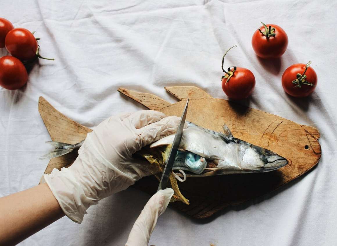 Beware of Fake Biodegradables: Products with False Claims are Found at ...