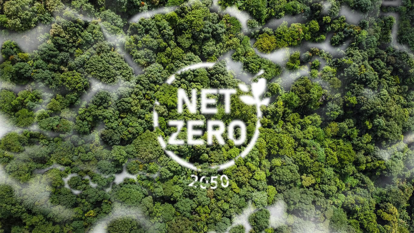 Net Zero 2050 - Earth Buddies