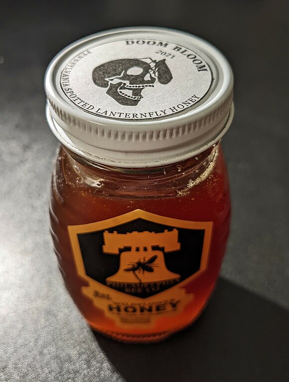 Honey produced via bees that ingested honeydew from spotted ...