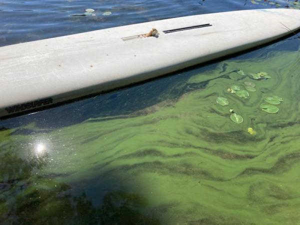 How Deepwater Horizon Oil Spill Cleanup Done