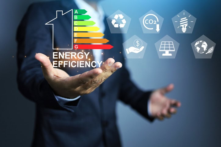 efficiency rating - Earth Buddies