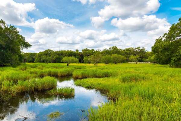 How to Implement Floating Wetlands for Cleaner Waterways