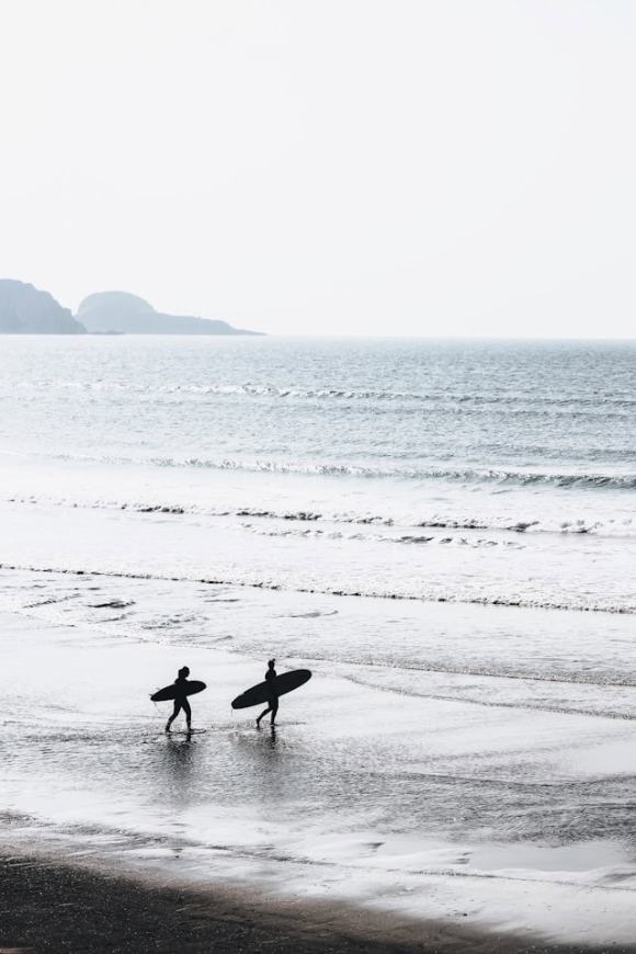 Being More Connected With The Sea Can Strengthen Marine Conservation ...