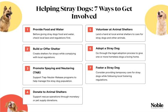 helping-stray-dogs-infographic - Earth Buddies
