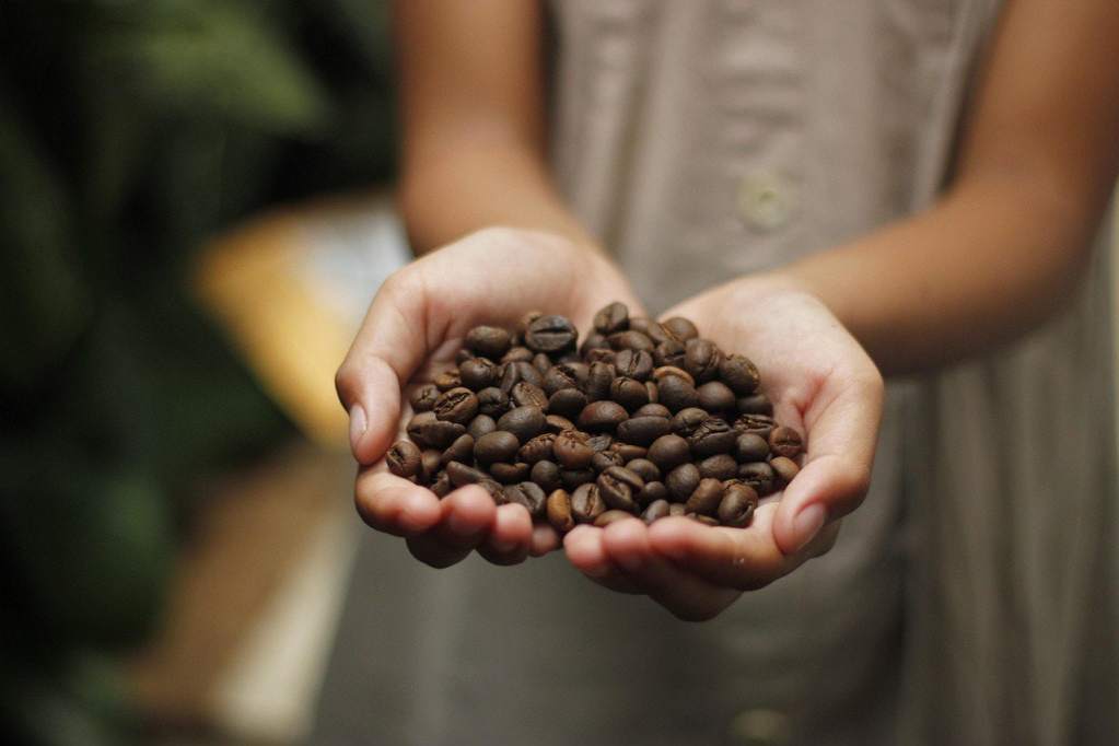 How to Upcycle Coffee Roasting Byproducts for a More Sustainable Lifestyle