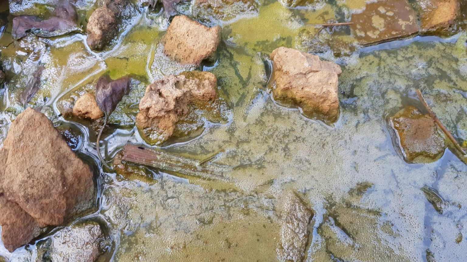What is Leachate?