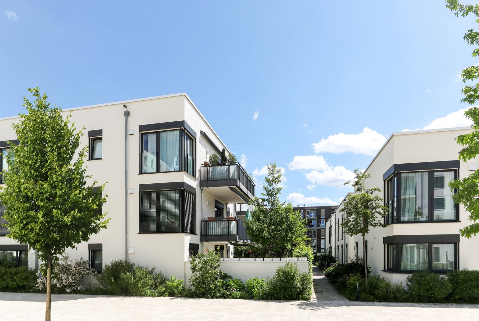 Depositphotos_750943804_L - Earth Buddies